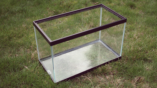 Invisible Snake - Impactist - Blog