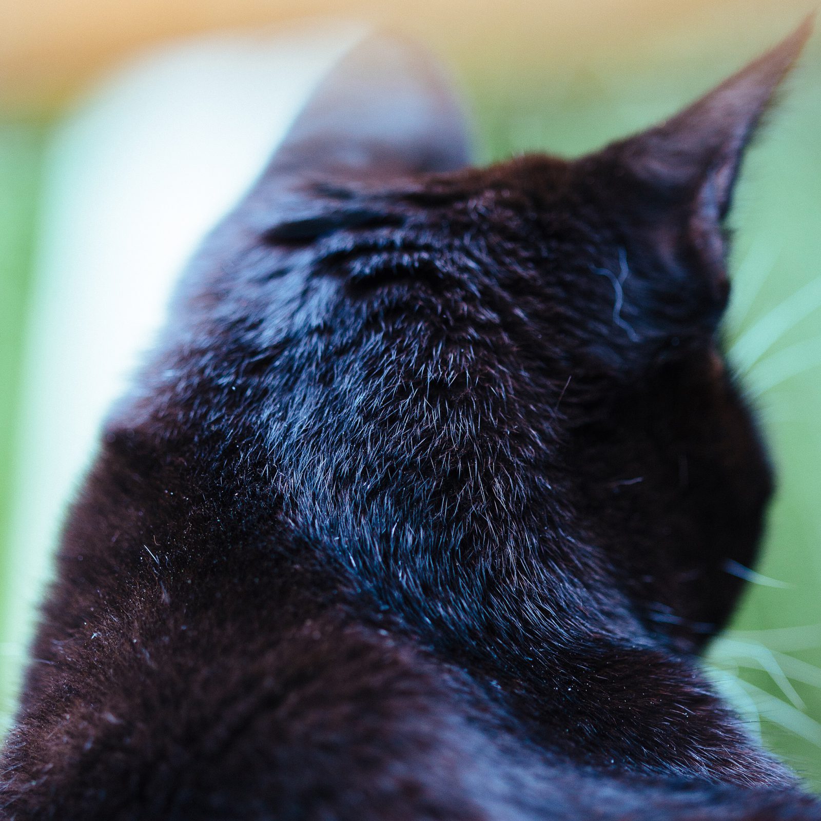 October 31, 2016 - Impactist - Blog