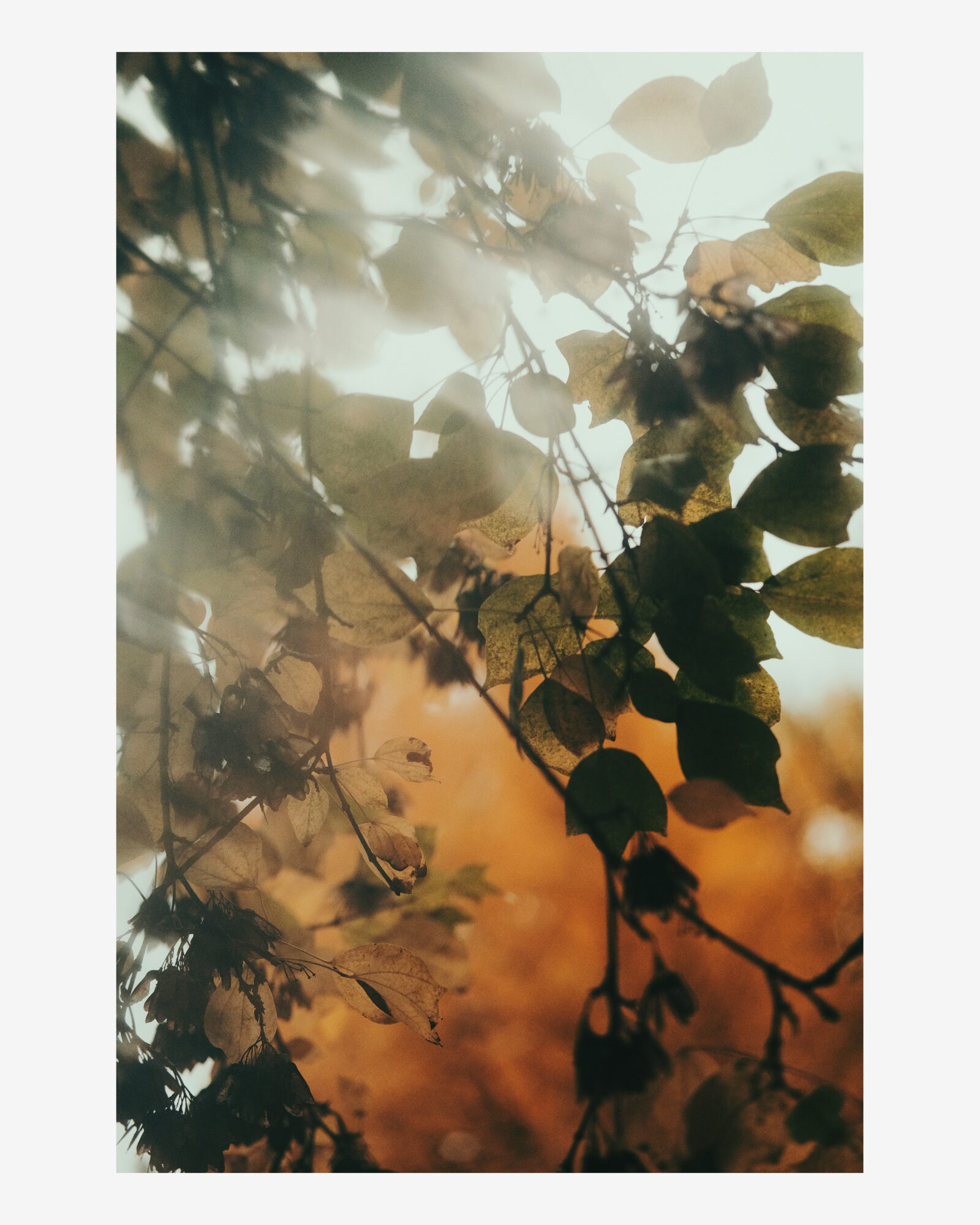 November 6, 2023 - Impactist - Blog