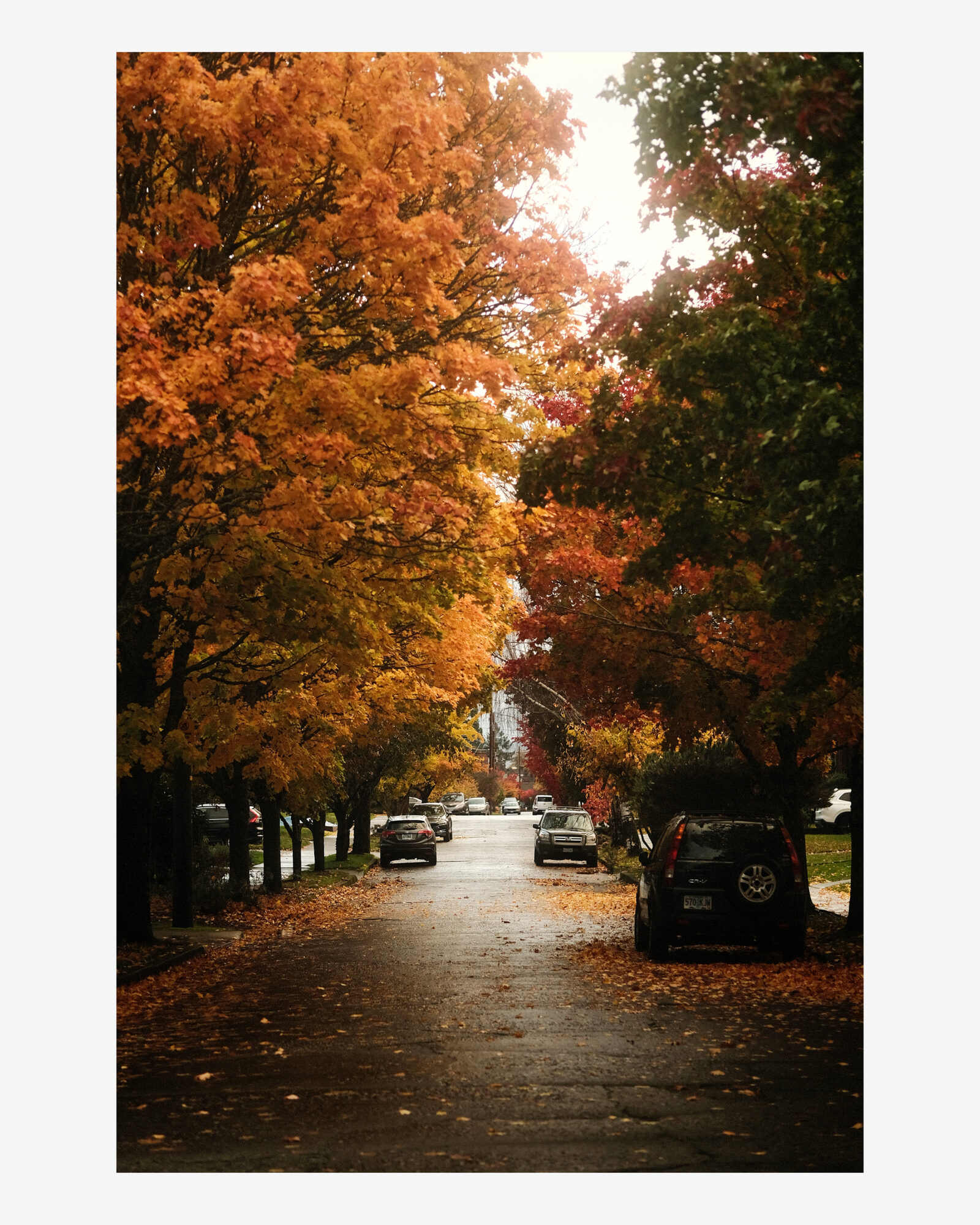 November 6, 2023 - Impactist - Blog